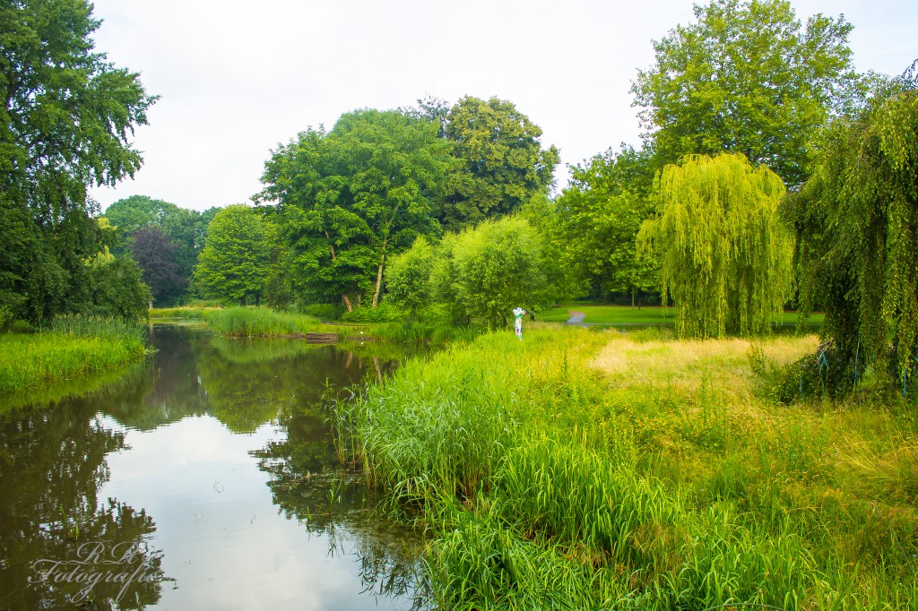fietsroute Oisterwijk Groenste Stad is uit | Oisterwijk in Beeld